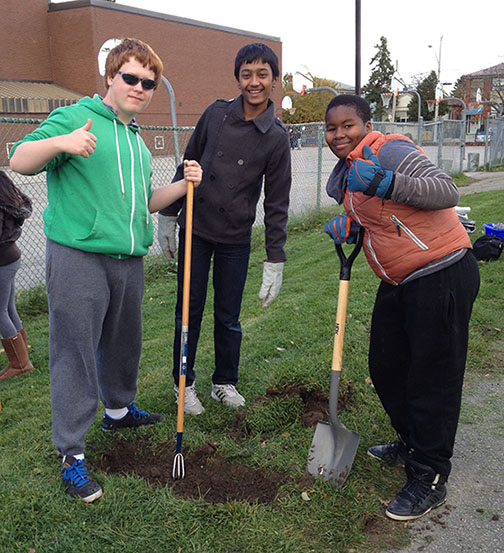 Article Details Page