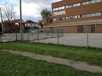 Article Details Page