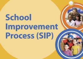 School Improvement Process