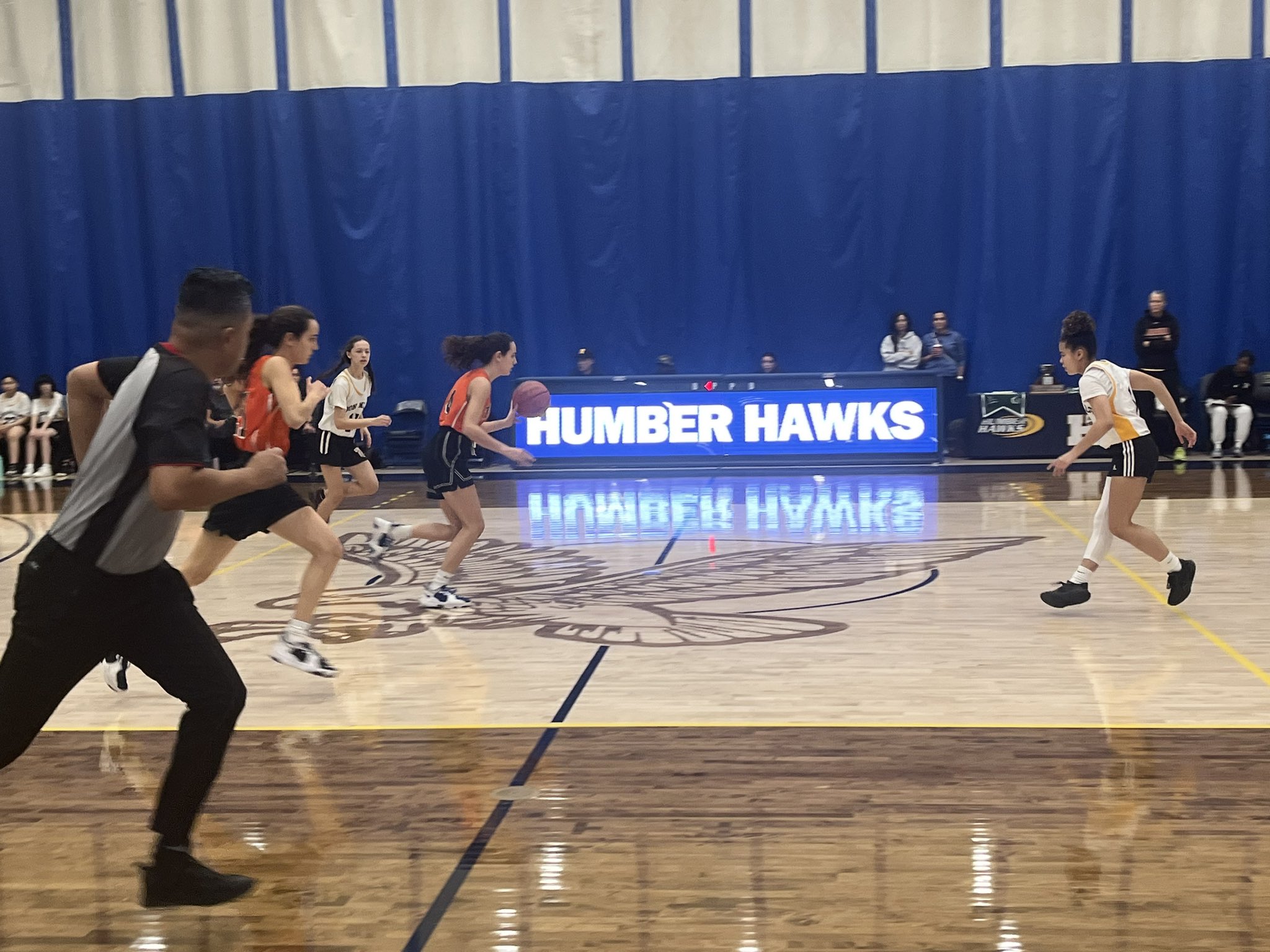 TDSSAA Girls Basketball