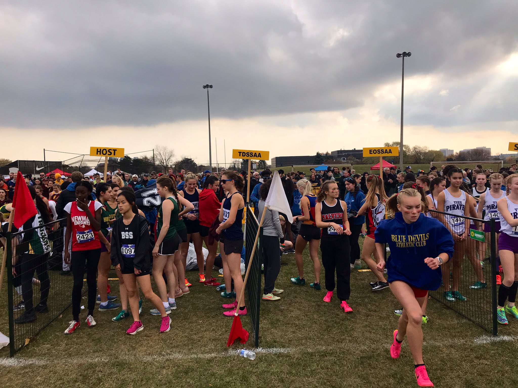 TDSSAA Cross Country